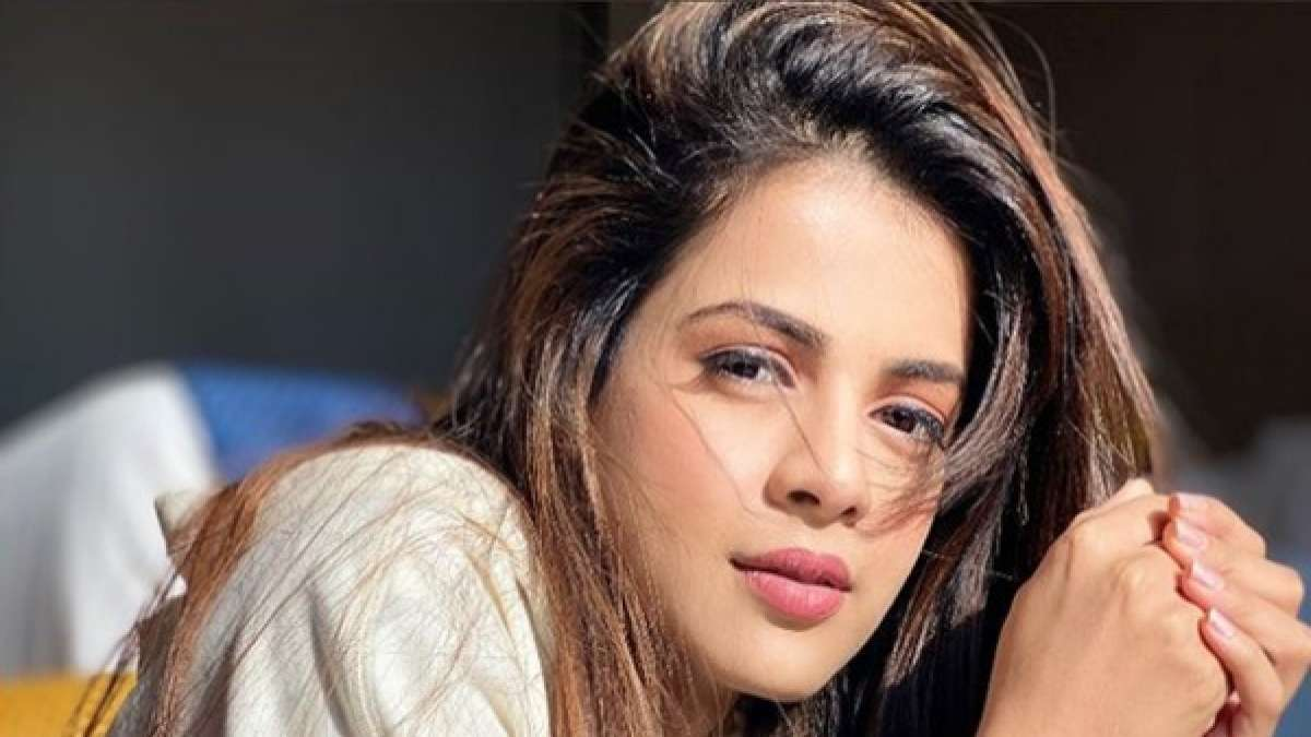 Jigyasa Singh Wiki, Biography, Age, Career, Songs, Boyfriend, Images, Videos and Facts